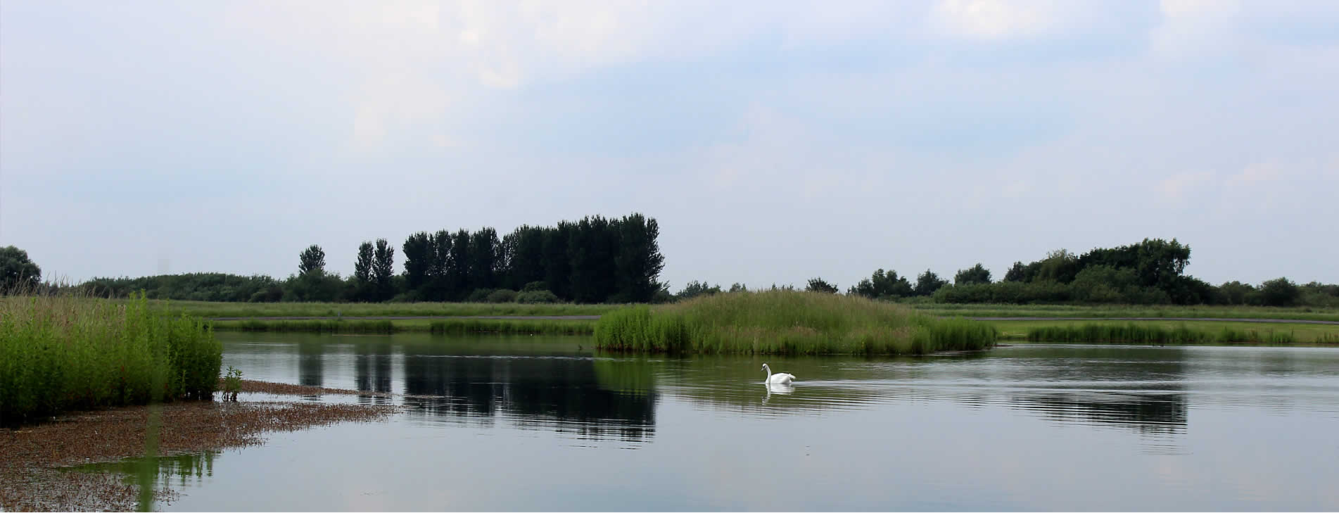 Hayton Lakes Fishery | Retford