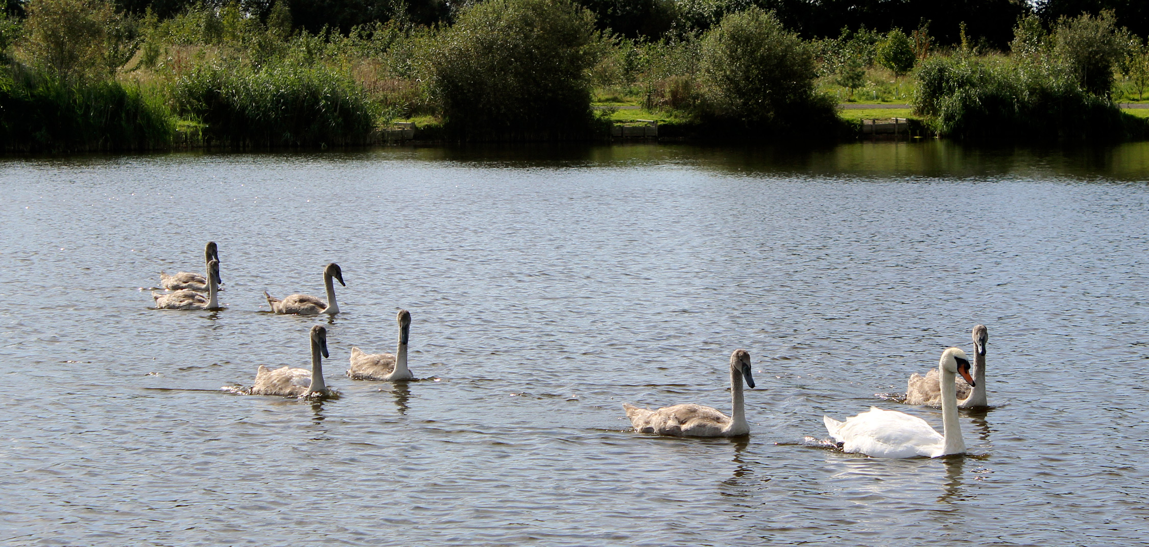 Facilities & Bait | Hayton Lakes Fishery : Hayton Lakes